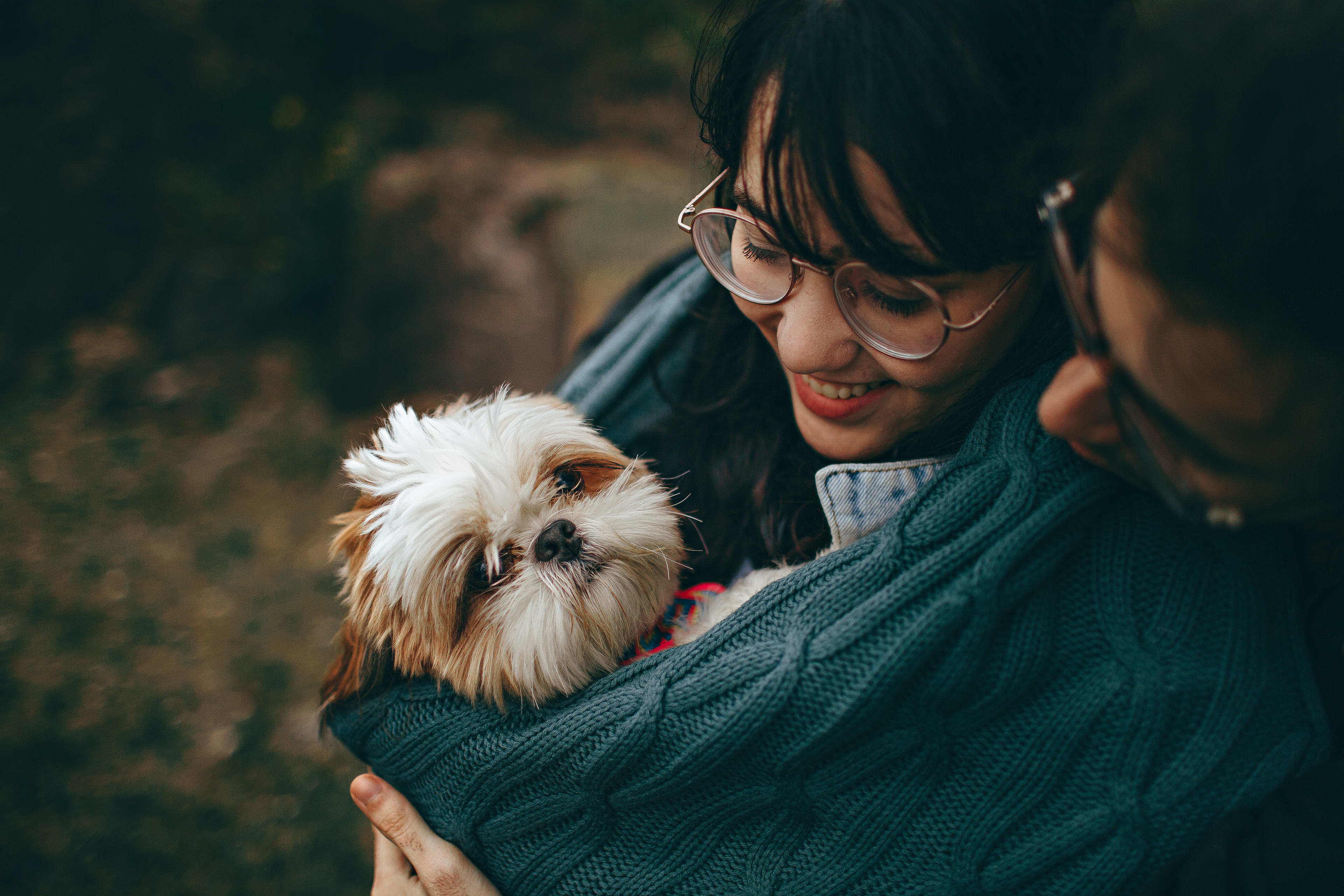 Places to buy puppies near me store