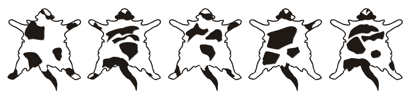 7+ Bicolor Pattern Variations in Cats (And Why They Occur) - PetHelpful