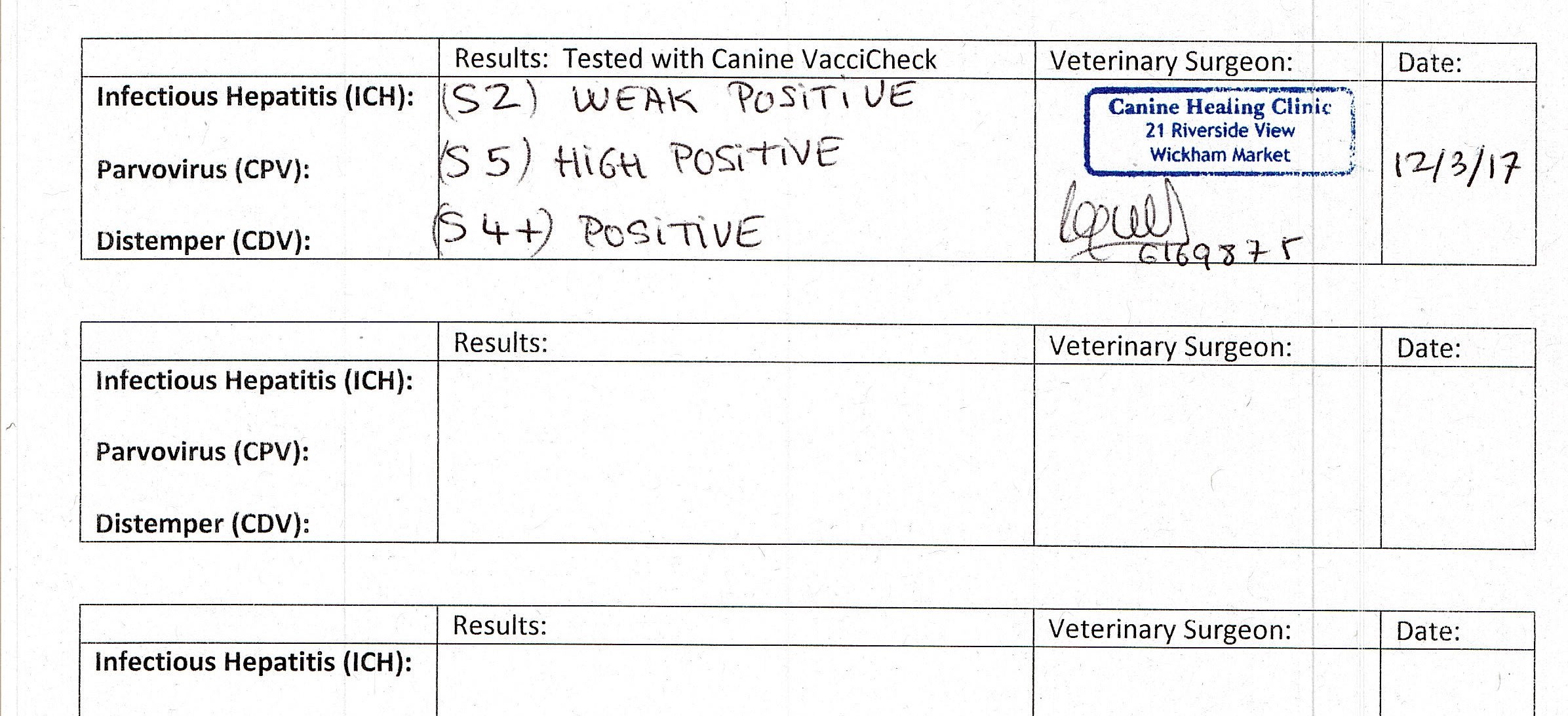 What Is Titre Testing and Is It an Alternative to Vaccinations ...