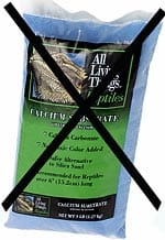 What Is an Impaction in Reptiles?