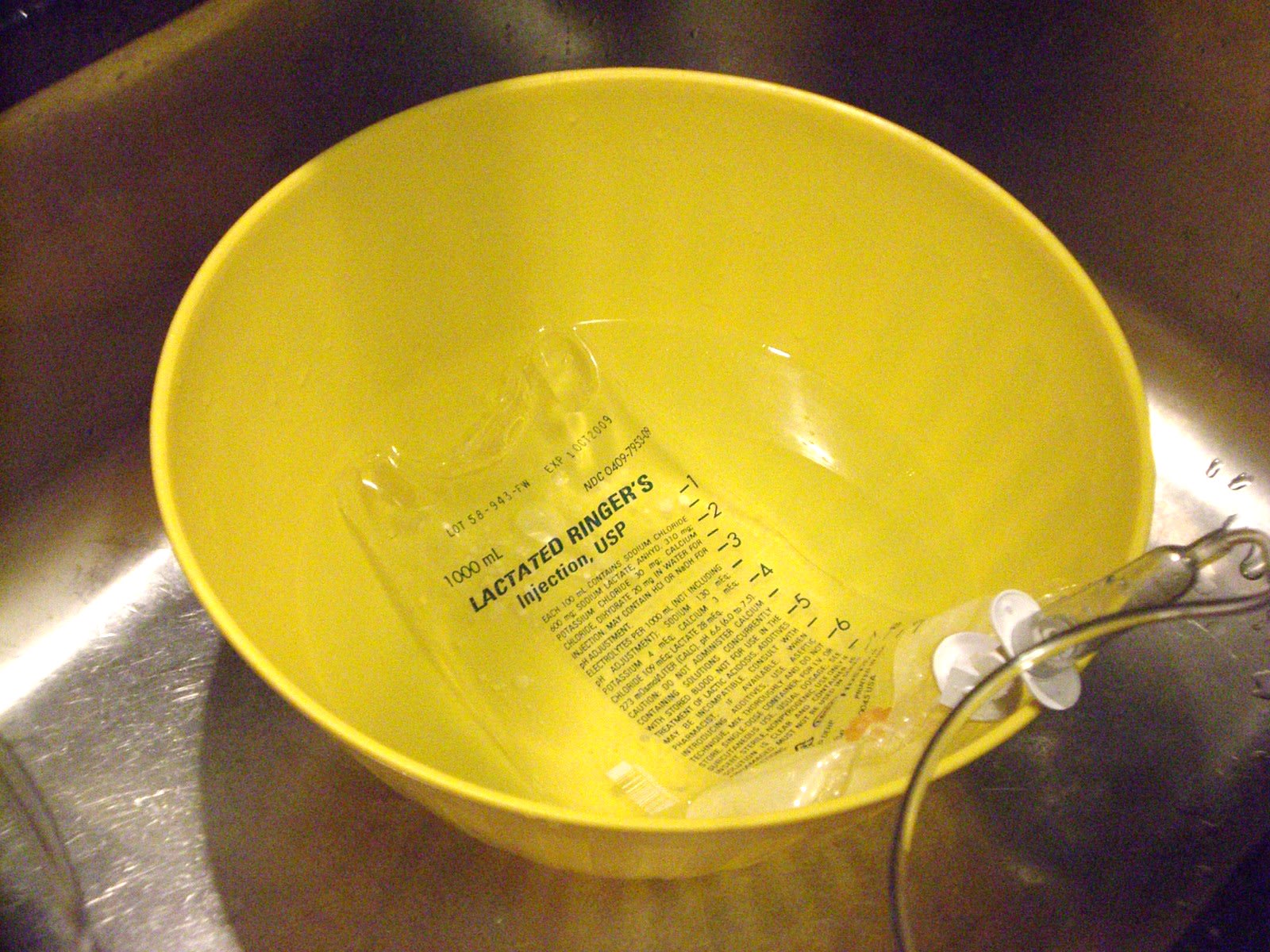 Giving Your Cat IV Subcutaneous Fluids at Home (With Photos) - PetHelpful