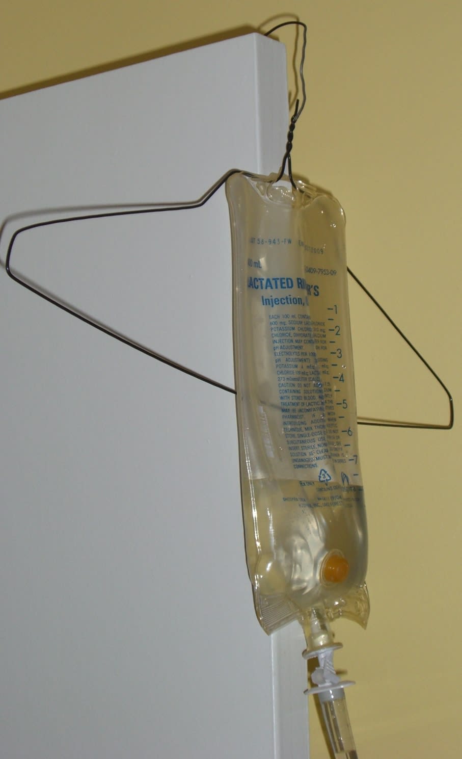 Giving Your Cat IV Subcutaneous Fluids at Home (With Photos) - PetHelpful