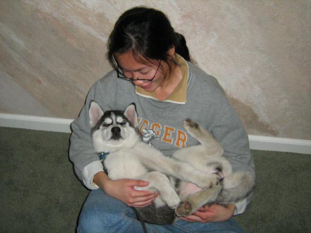 How to Calm a Hyperactive Puppy