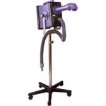 Lessons From a Groomer: How to Dry Your Dog Correctly - PetHelpful