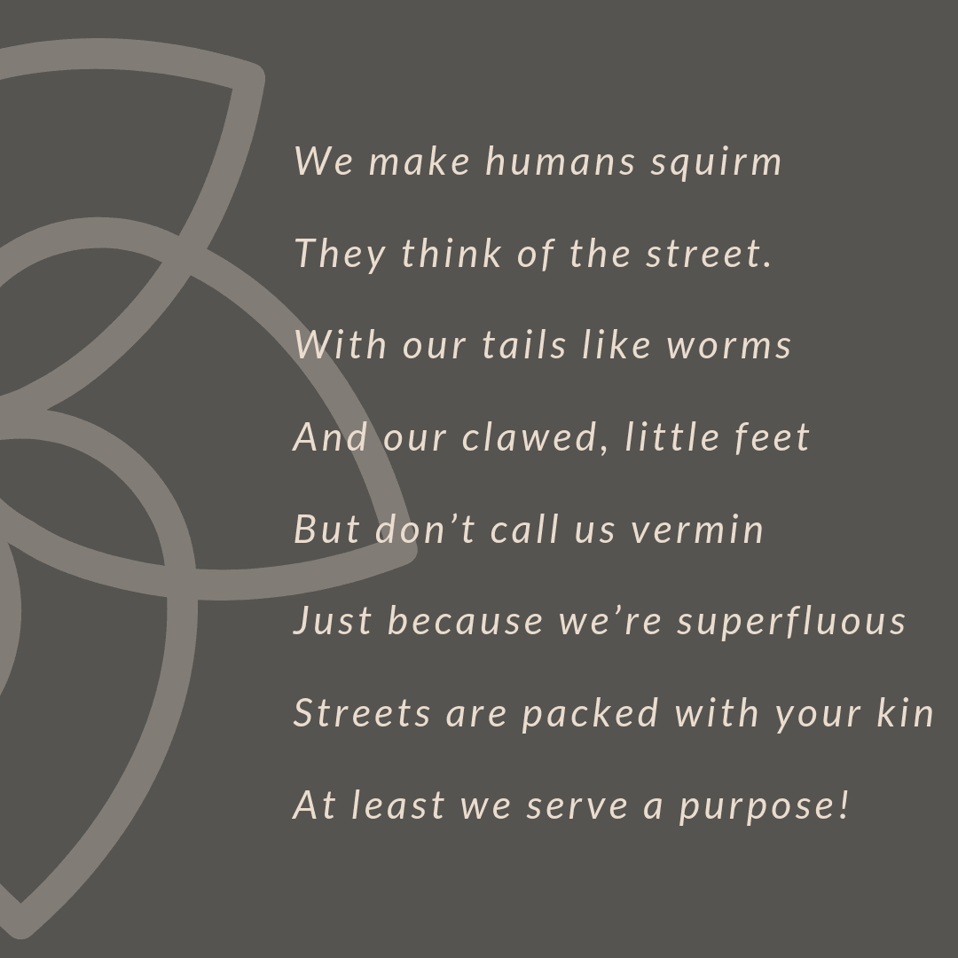 Rat Care for Beginners: How to Create the Perfect Rat Cage Setup