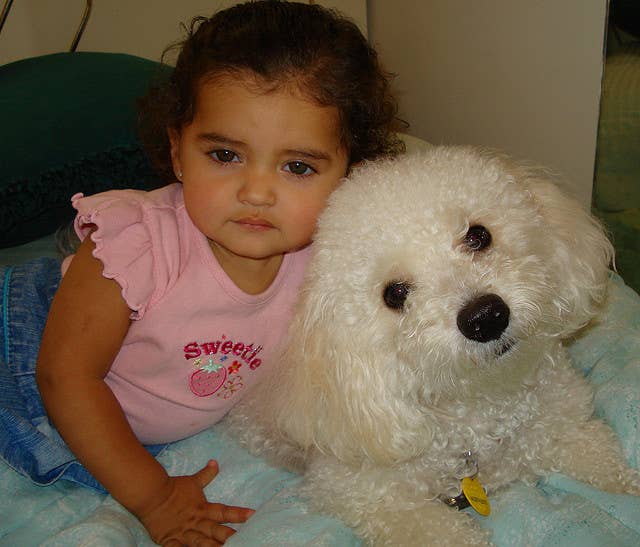 7 Best Dog Breeds for First-Time Owners