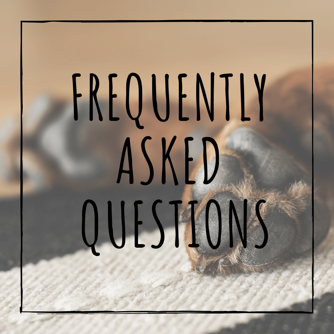 How to Shorten a Dog's Quick - PetHelpful