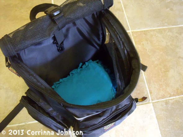 10 Reasons Why I Love the Outward Hound Backpack Pet Carrier