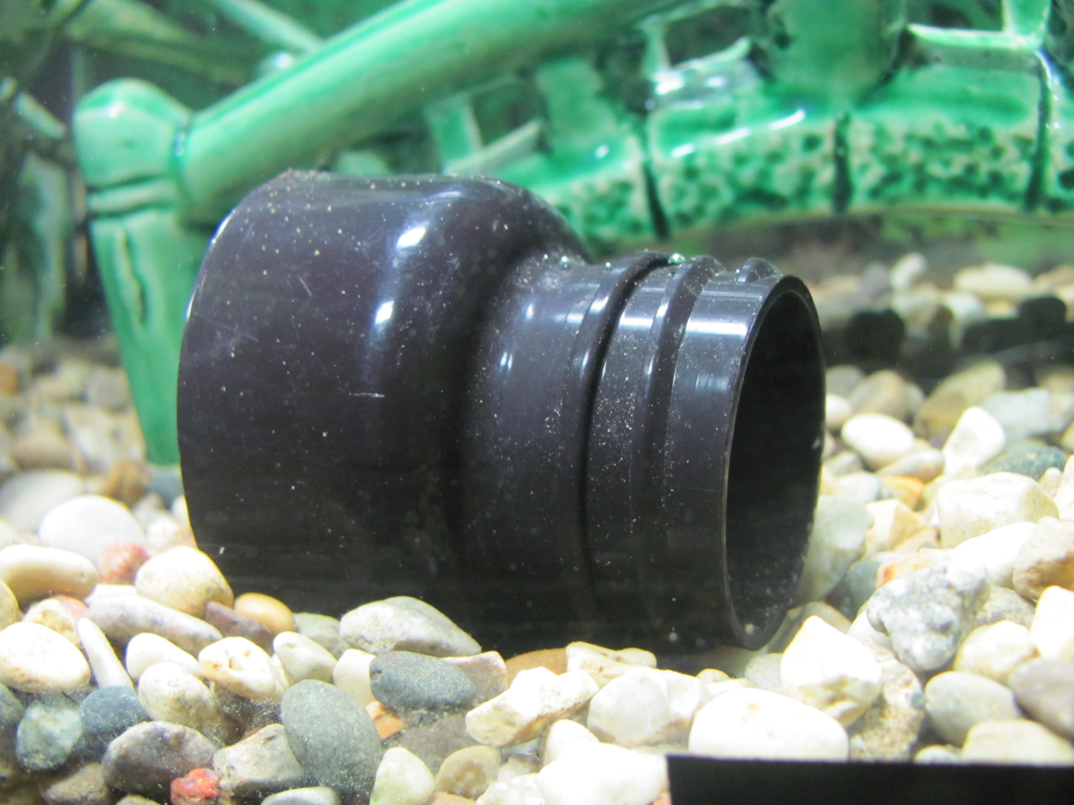 Cheap Alternatives for an Aquarium Setup - PetHelpful