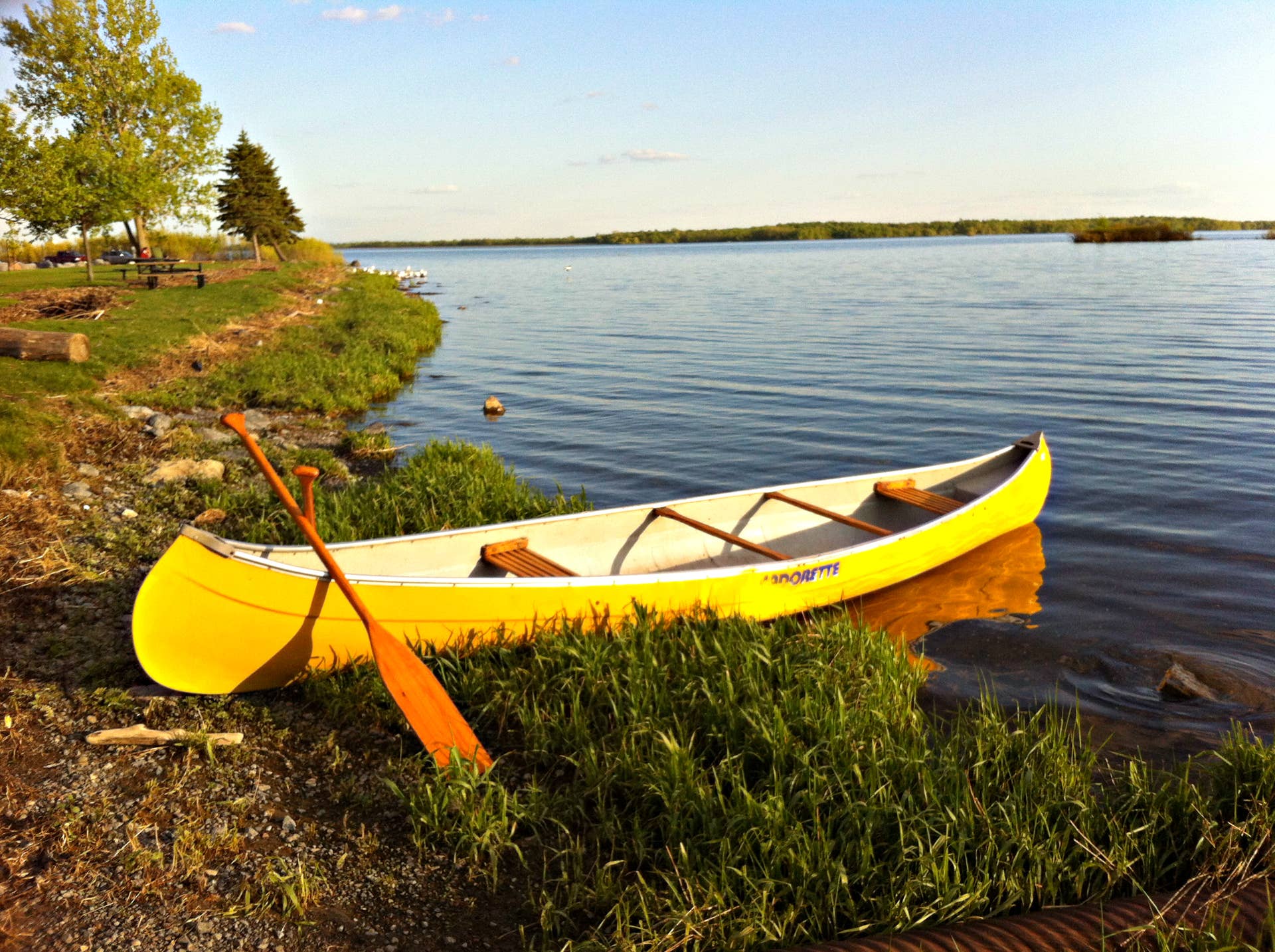 Safety Tips for Canoeing With Your Dog - PetHelpful