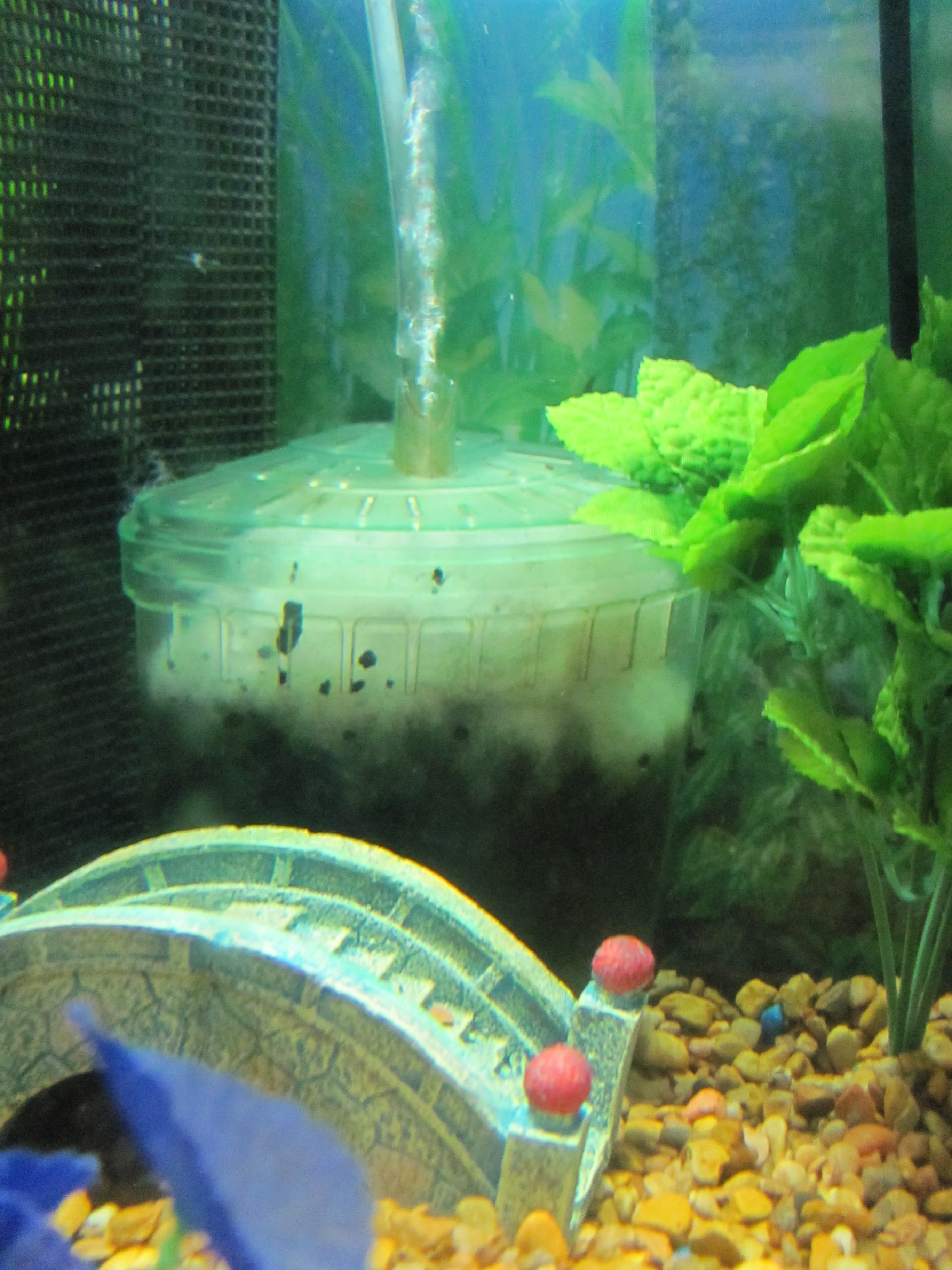 What Happened to the Box/Corner Filter for Fish Tanks? - PetHelpful
