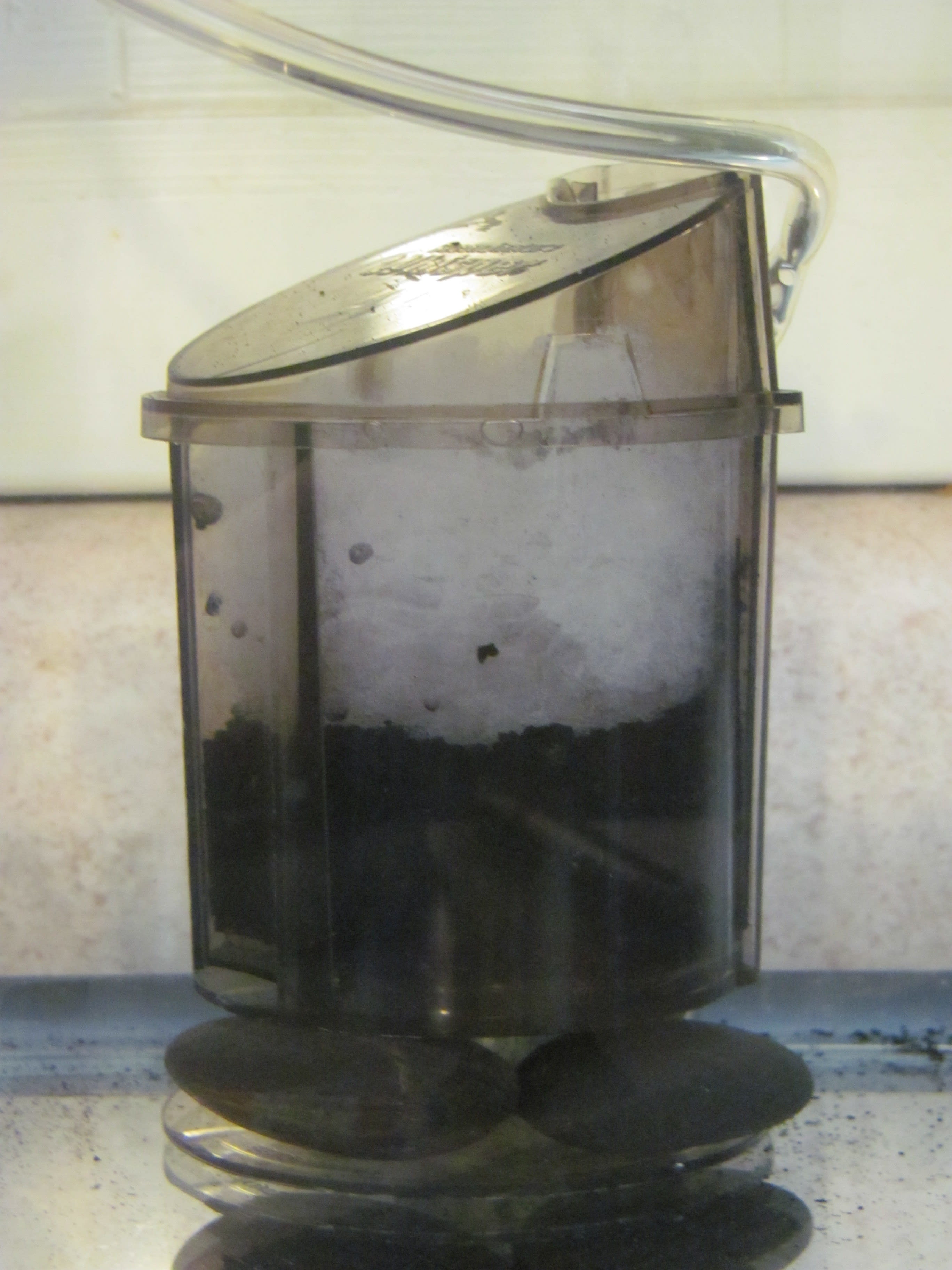 What Happened to the Box/Corner Filter for Fish Tanks?