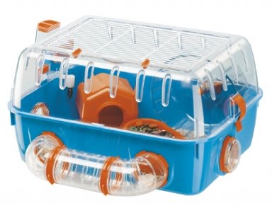 Cage Rage in Hamsters: The Complete Guide