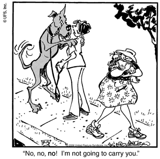 6 Celebrity Great Danes From Television and Film