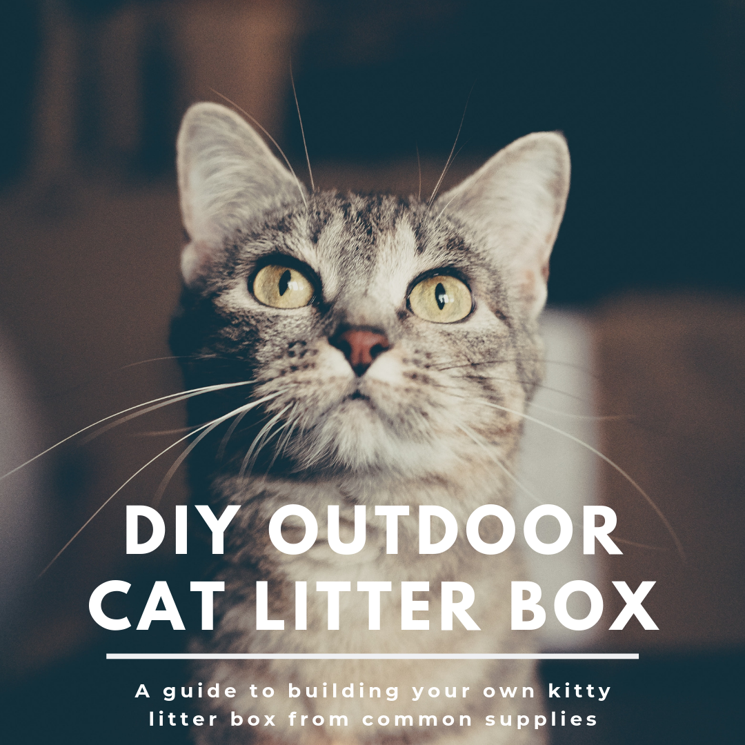 How to Build an Outdoor Cat Litter Box