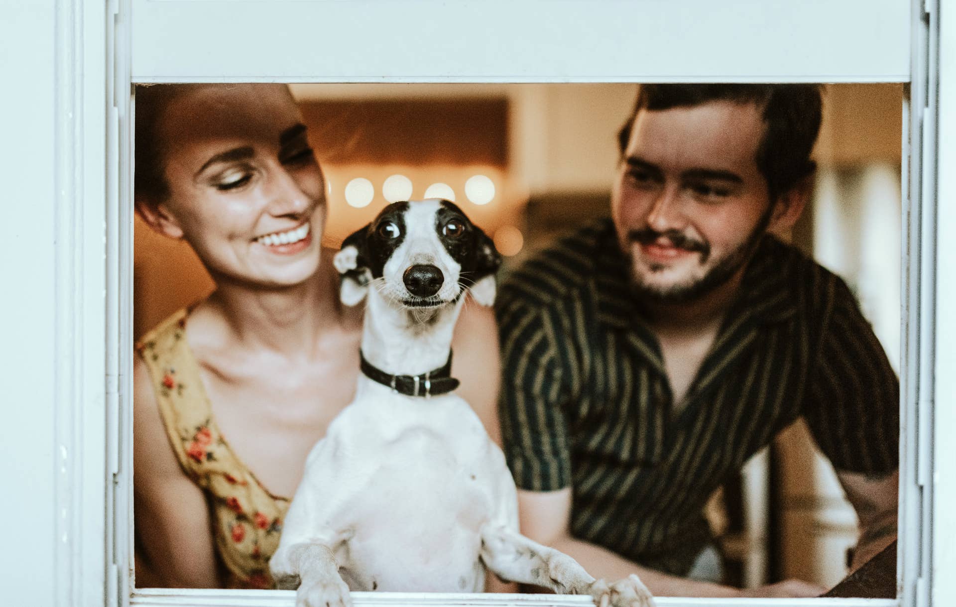 How to Recognize and Deal With a Jealous Dog or Cat