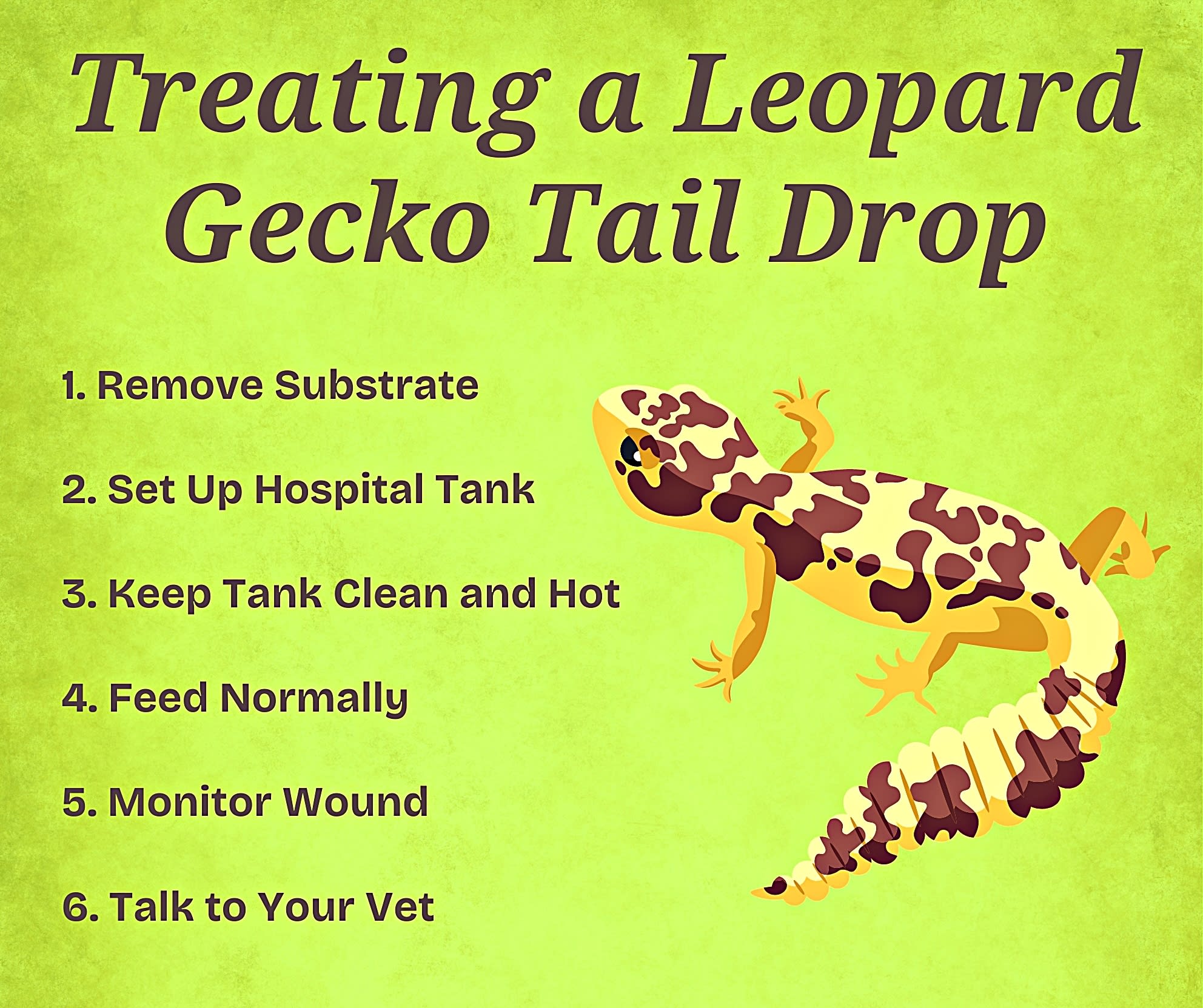 What to Do If a Leopard Gecko Drops Its Tail