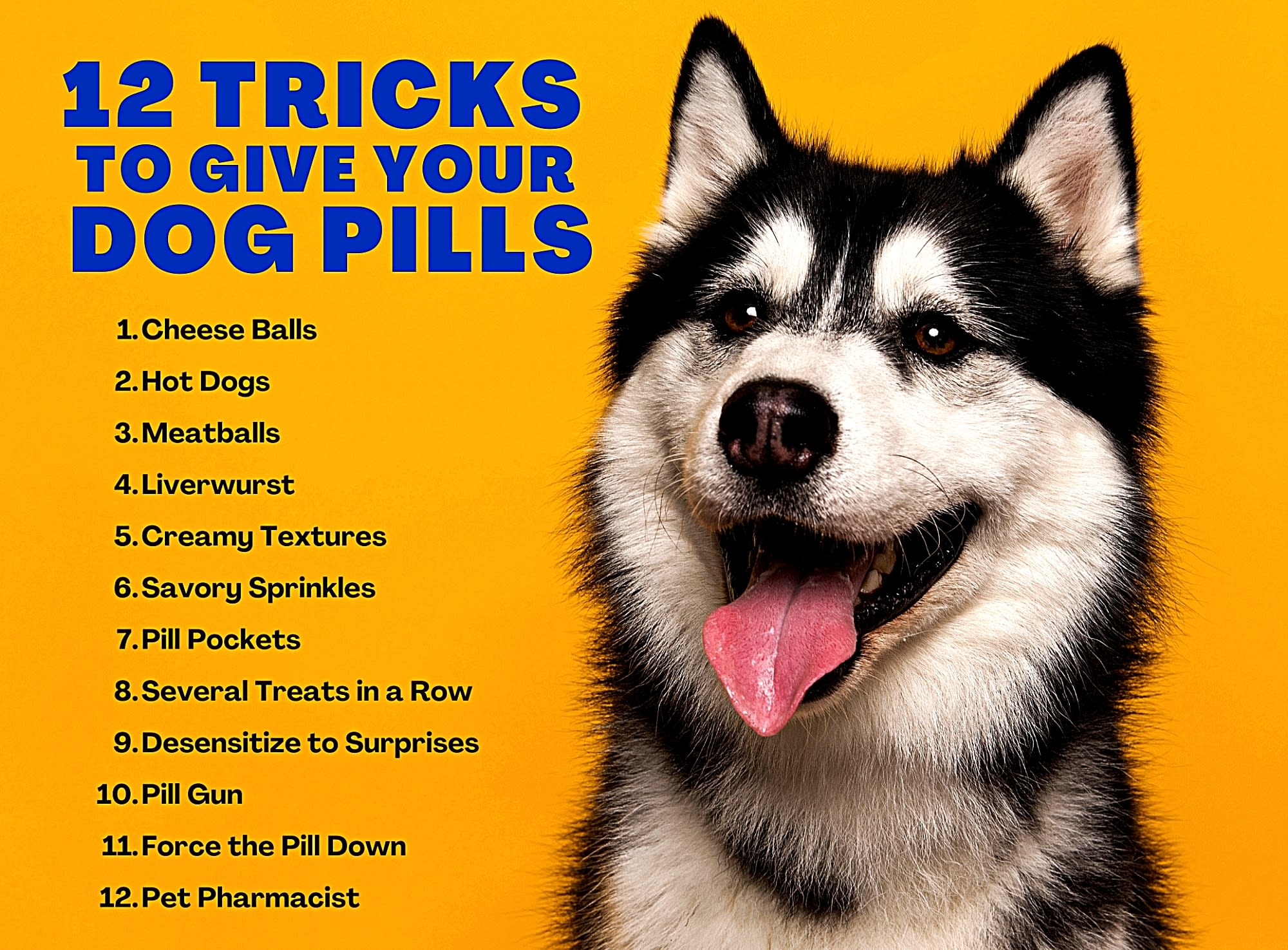 12 Tricks to Give Your Dog Pills - PetHelpful