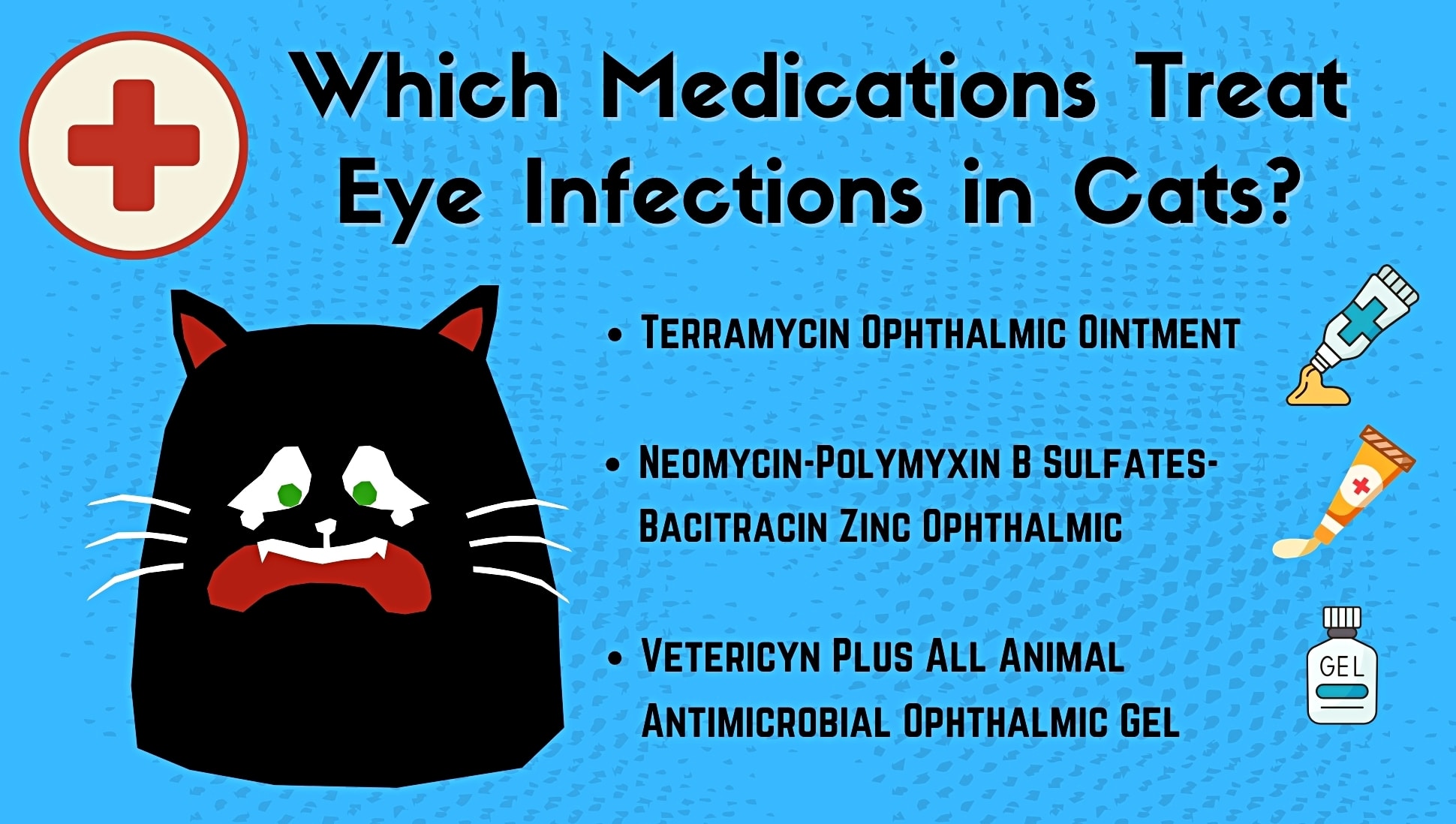 Do Eye Infections Hurt Cats - Infoupdate.org