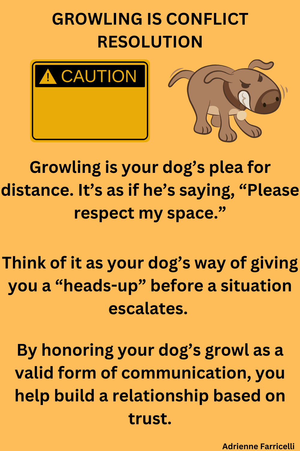 Why Is My Dog Suddenly Growling? Pro Tips From a Dog Trainer - PetHelpful