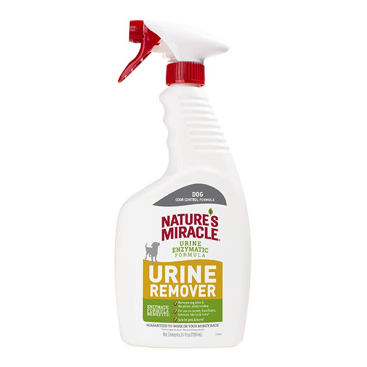 What Can I Spray on My Carpet to Stop My Dog From Peeing on It ...