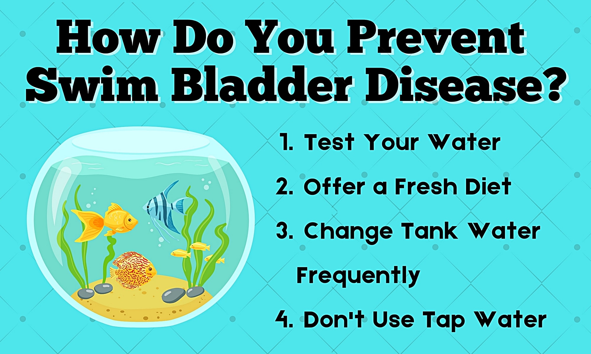 Swim Bladder Disease: Signs, Treatment, and Prevention