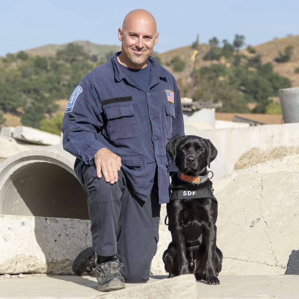 Former Shelter Dogs Go to Work in the Aftermath of the LA Fires to ...