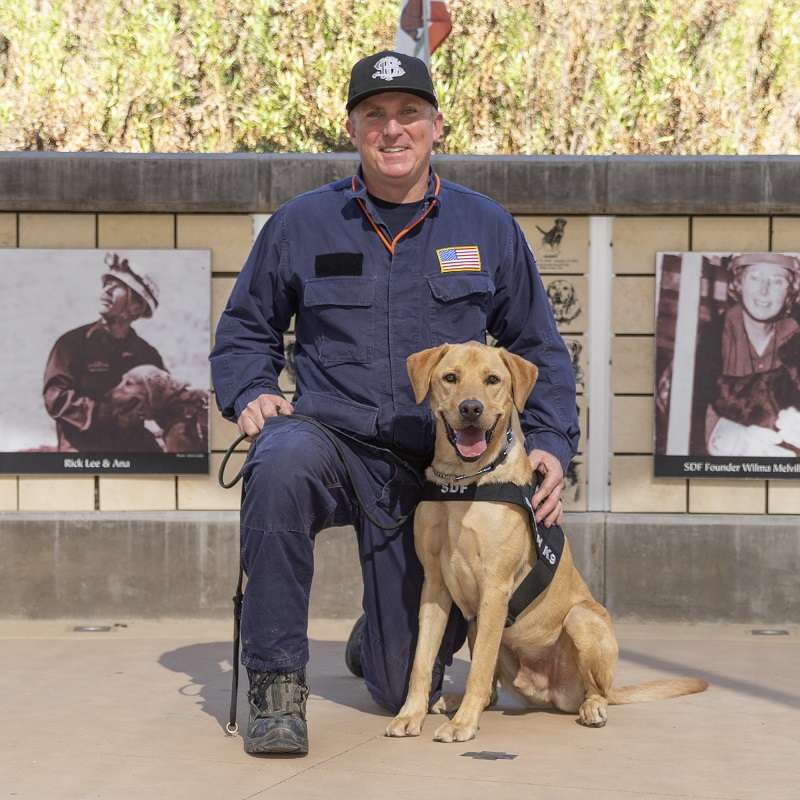 Former Shelter Dogs Go to Work in the Aftermath of the LA Fires to ...