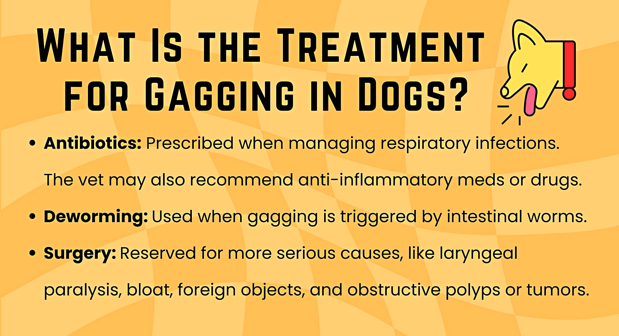Why Is My Dog Coughing and Gagging? 13 Common Causes