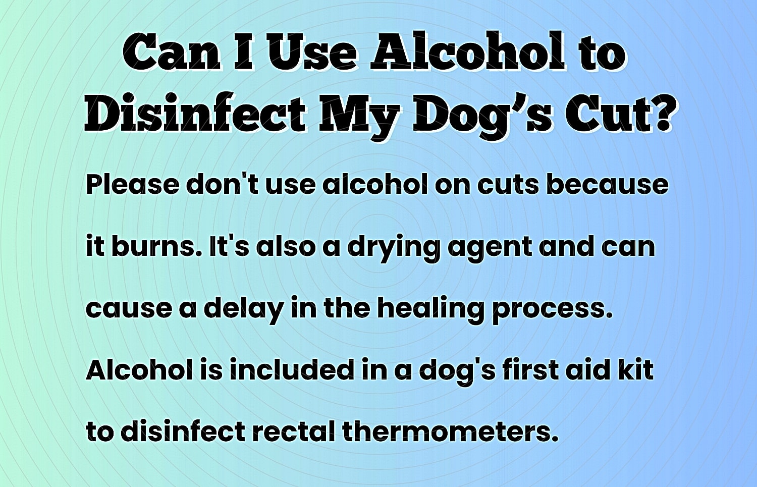 Using Betadine for Dog Wounds: How to Apply It Properly - PetHelpful