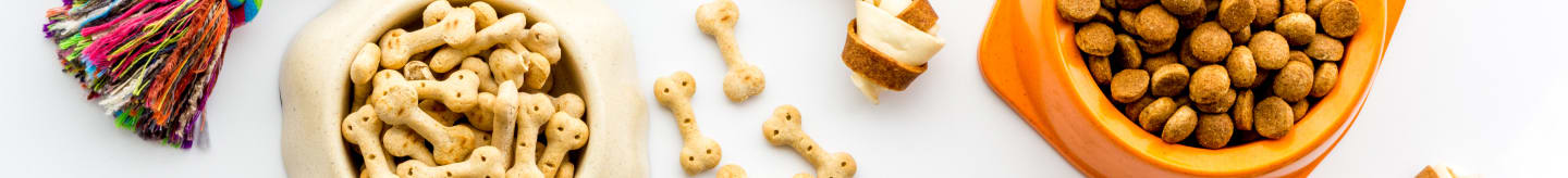 Articles by Jordyn Burt - PetHelpful