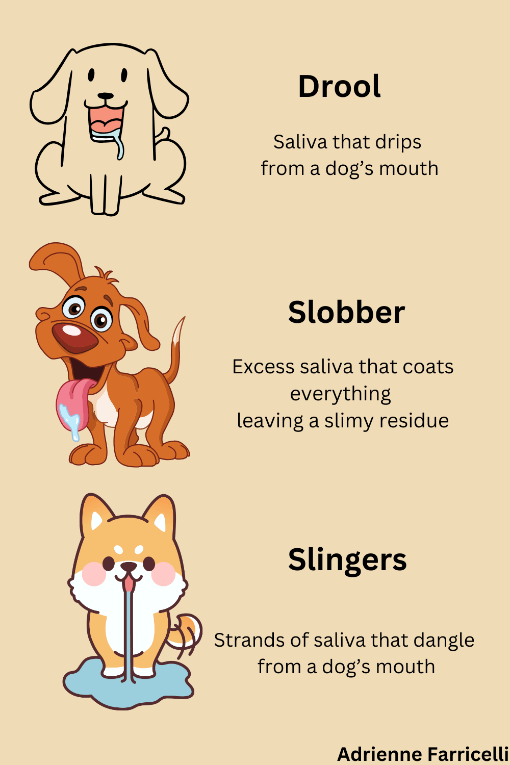 Which Dogs Drool the Most? Top 8 Most Slobbery Breeds - PetHelpful
