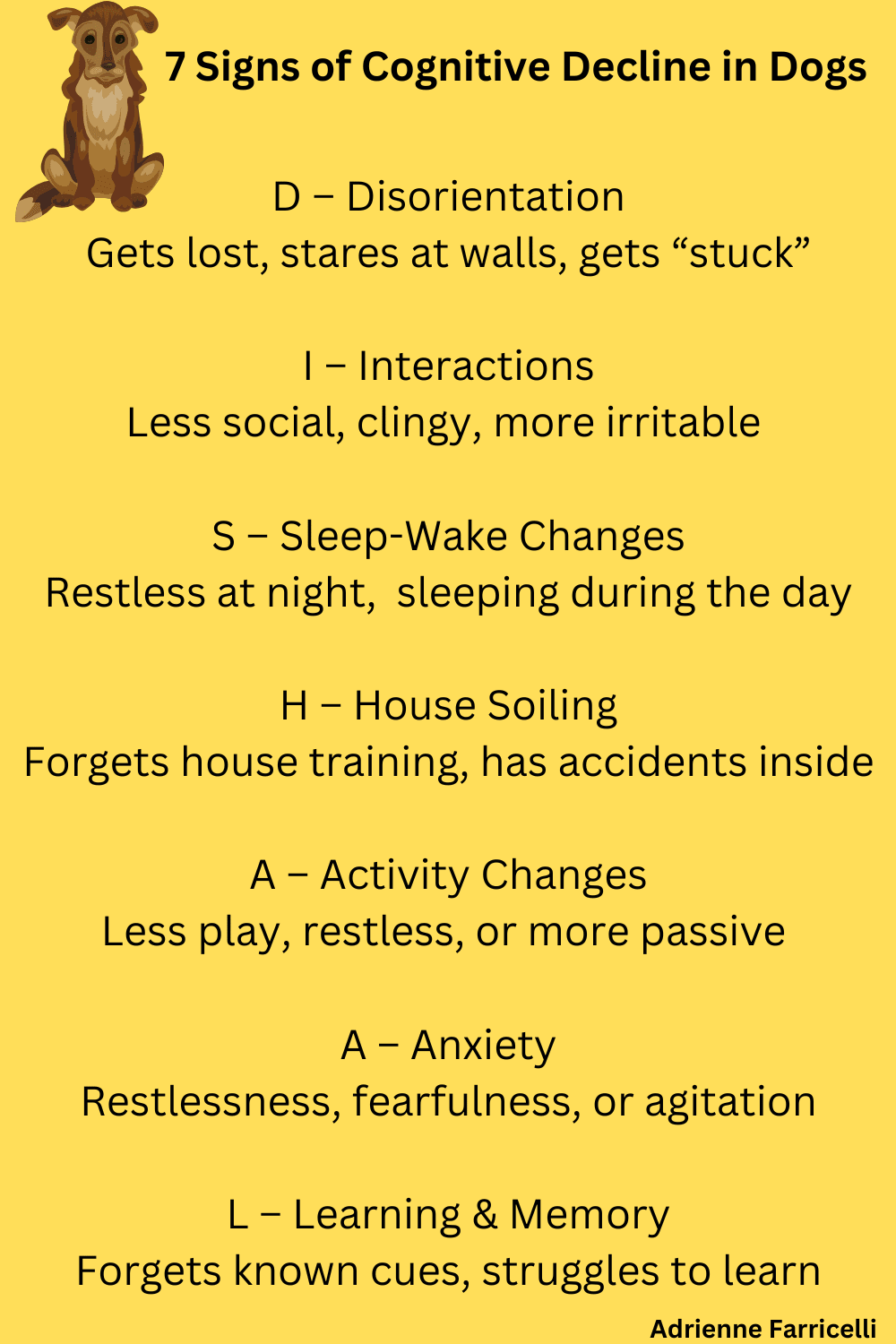 Senior Dog Dementia: 7 Clear Signs & How to Help - PetHelpful