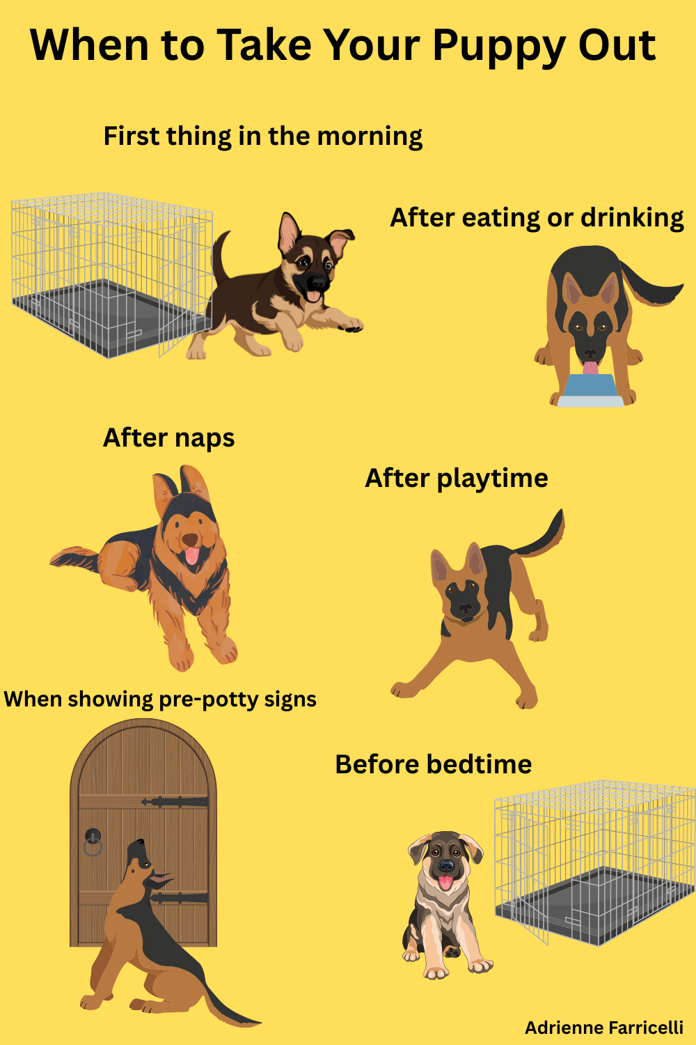 6 Big Mistakes When Teaching Your Puppy to Potty Outside - PetHelpful