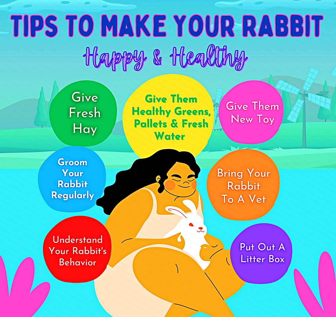 The Ultimate Guide to Dwarf Rabbit Care