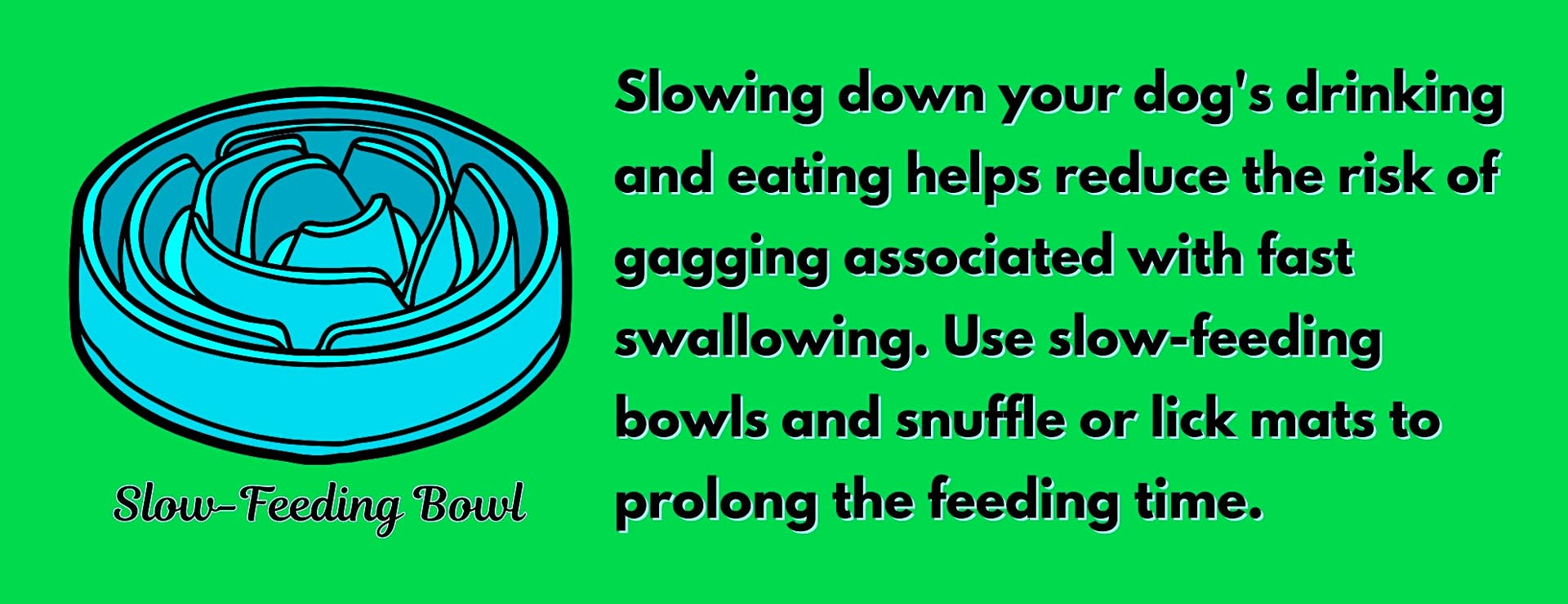 Why Is My Dog Coughing and Gagging? 13 Common Causes - PetHelpful