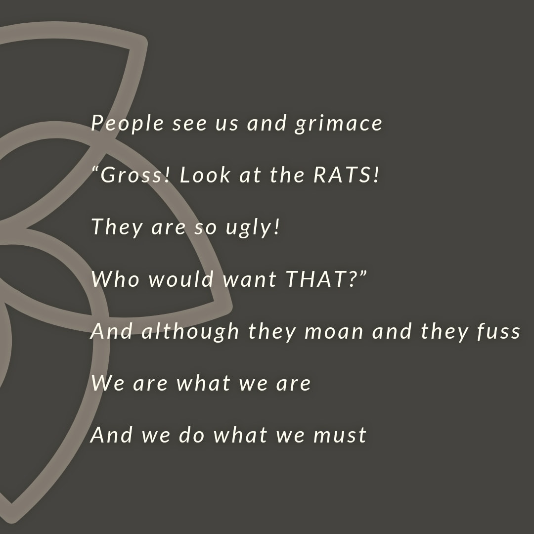 Rat Care for Beginners: How to Create the Perfect Rat Cage Setup ...