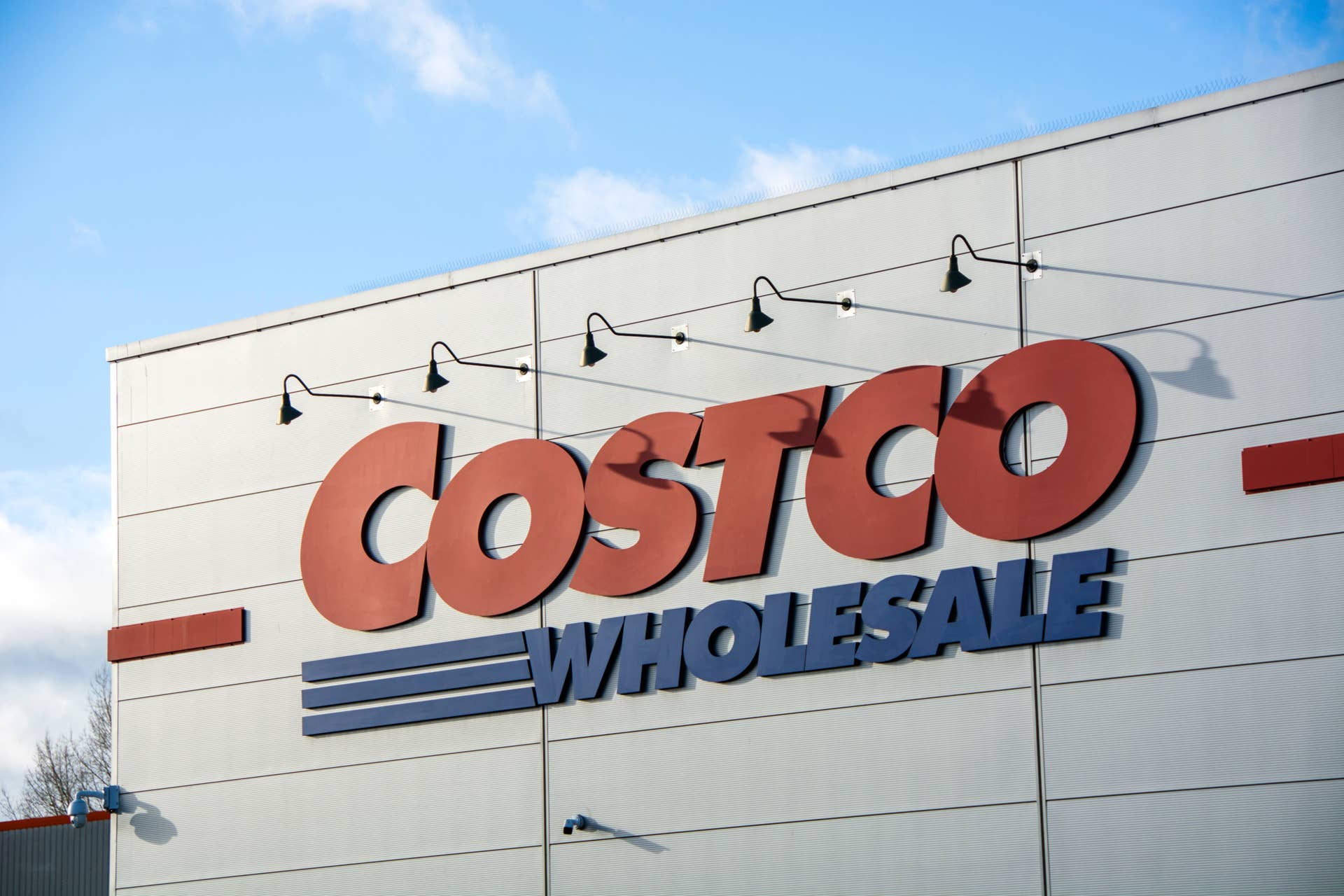 Costco’s 2-in-1 Pet Ramp and Stairs Shoppers Love - PetHelpful