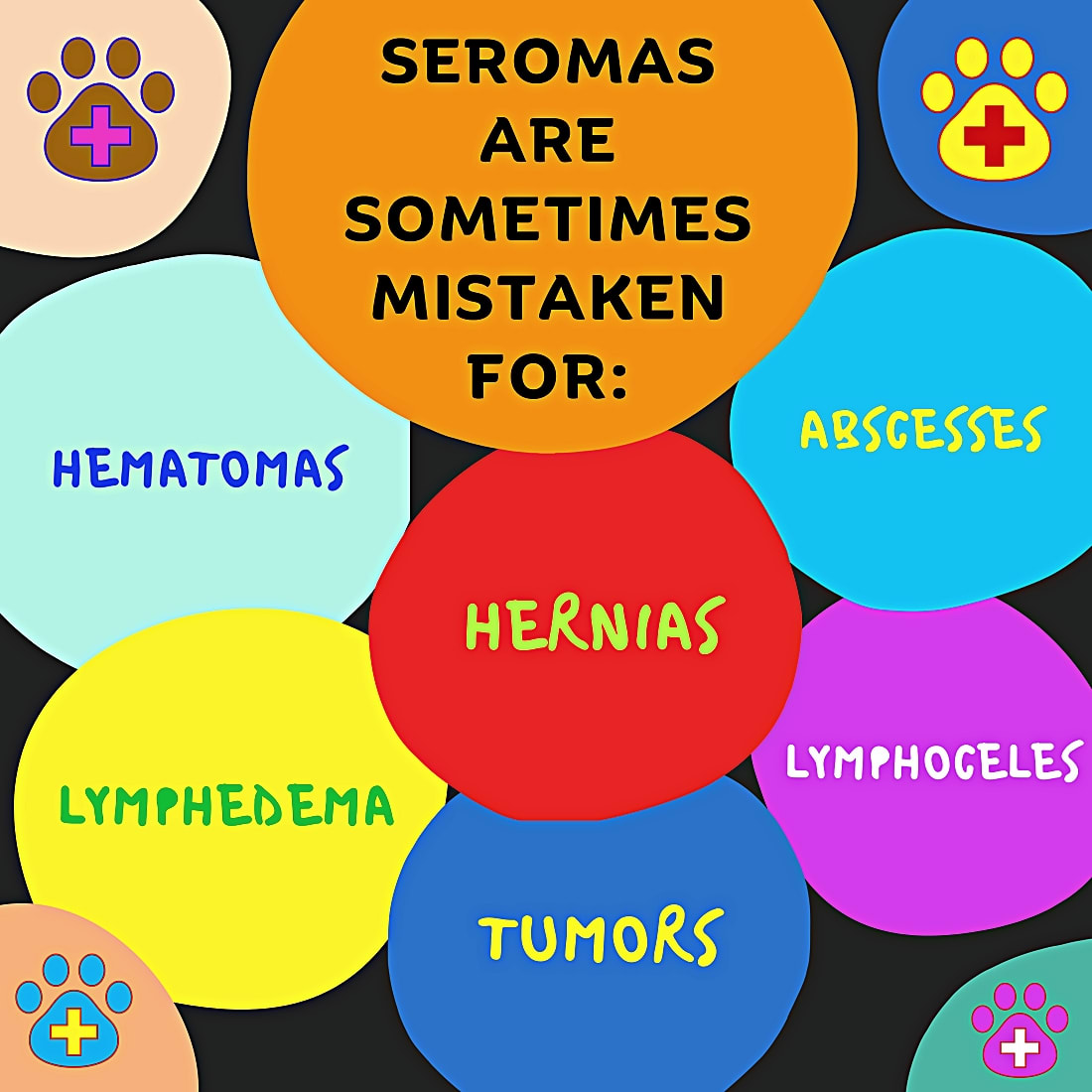 Seromas in Dogs: Causes, Pictures, Treatment & Prevention - PetHelpful