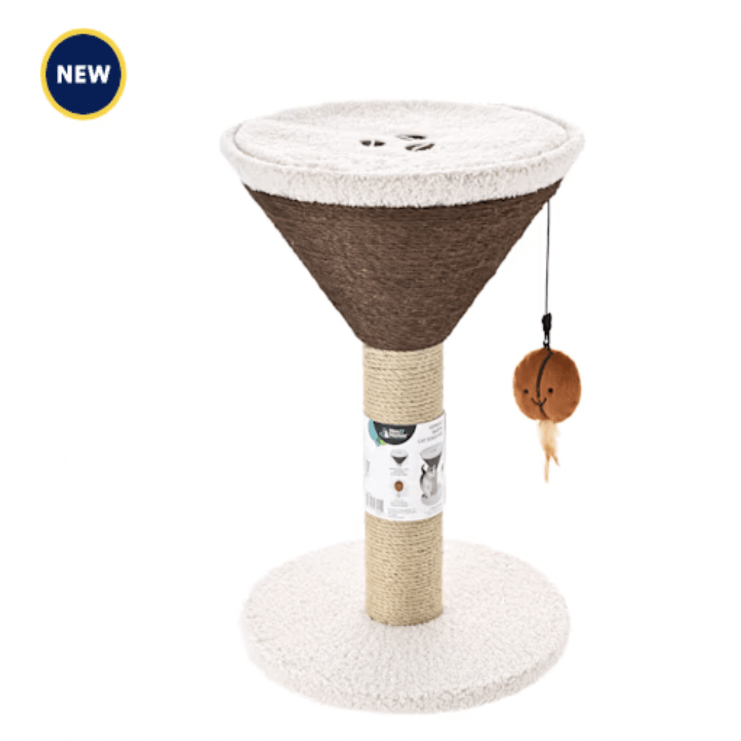 This Cutesy New Cat Scratcher Has Cat Parents Obsessed - PetHelpful