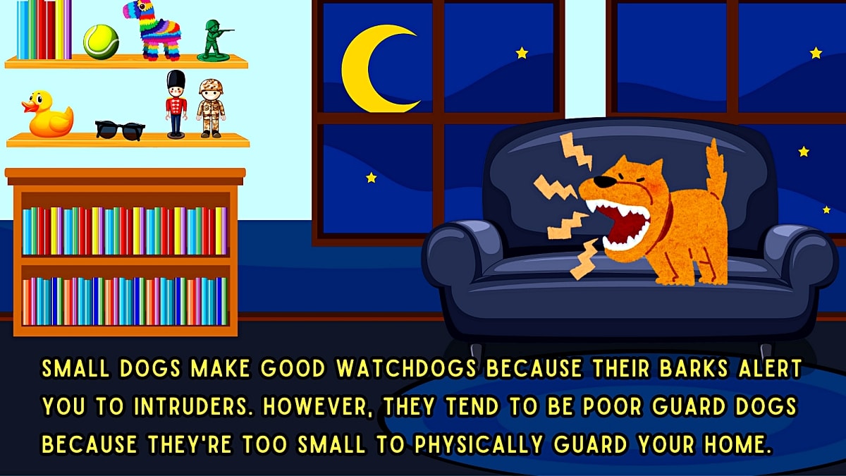 10 Awesome Guard Dog Breeds That Don't Shed Much - PetHelpful