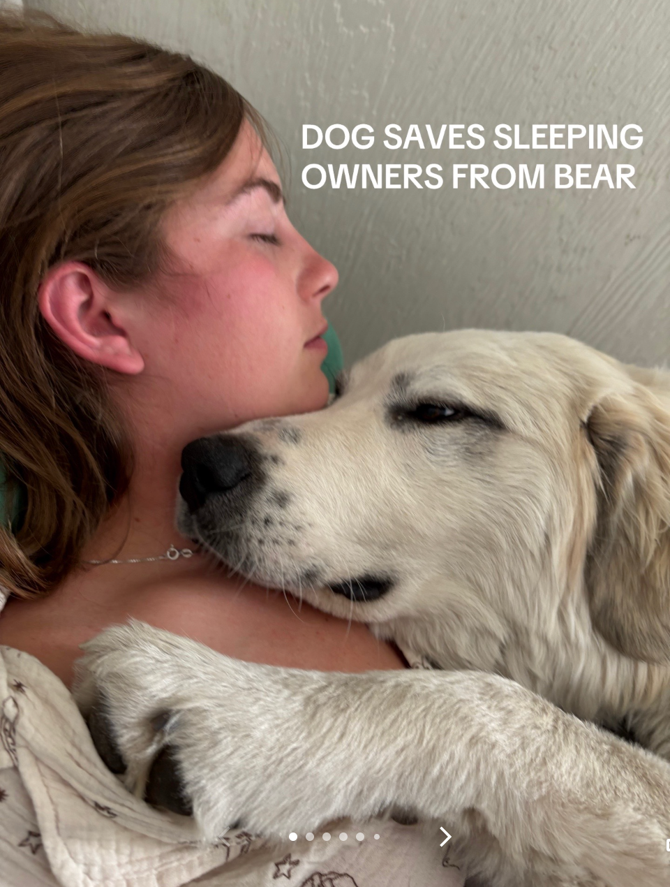 Great Pyrenees 'Who Never Barks' Protects Sleeping Family From Bear Who ...
