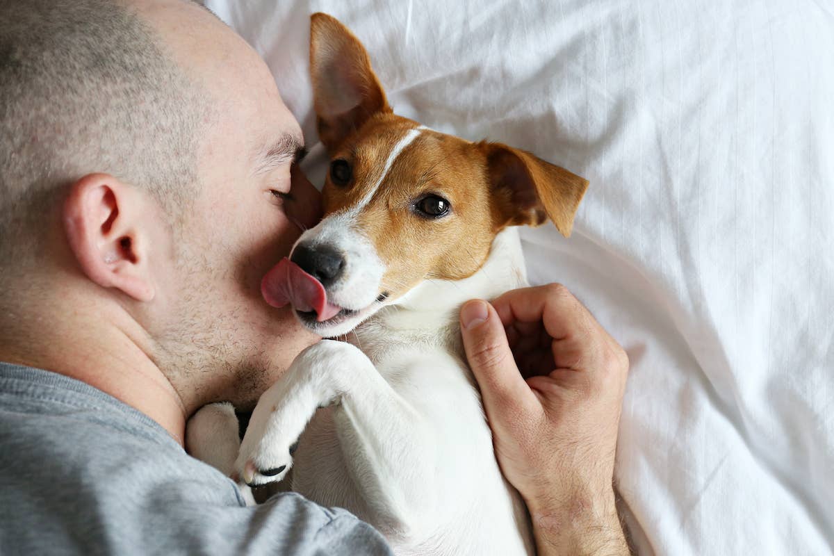 New Study on Humans and Emotional Support Animals Leads to Surprising ...