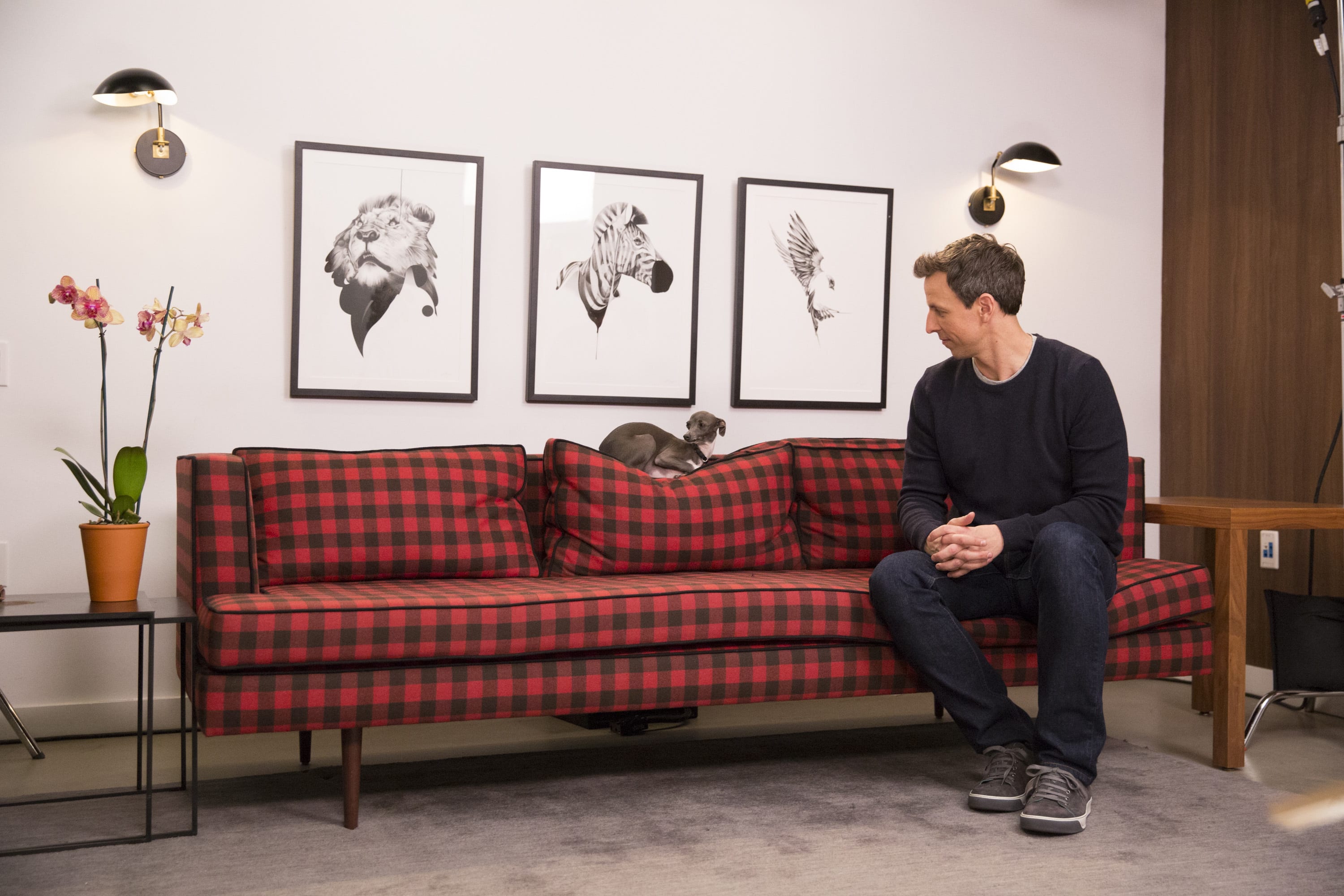 Seth Meyers' Beautiful Tribute to His Late Dog Is So Touching - PetHelpful