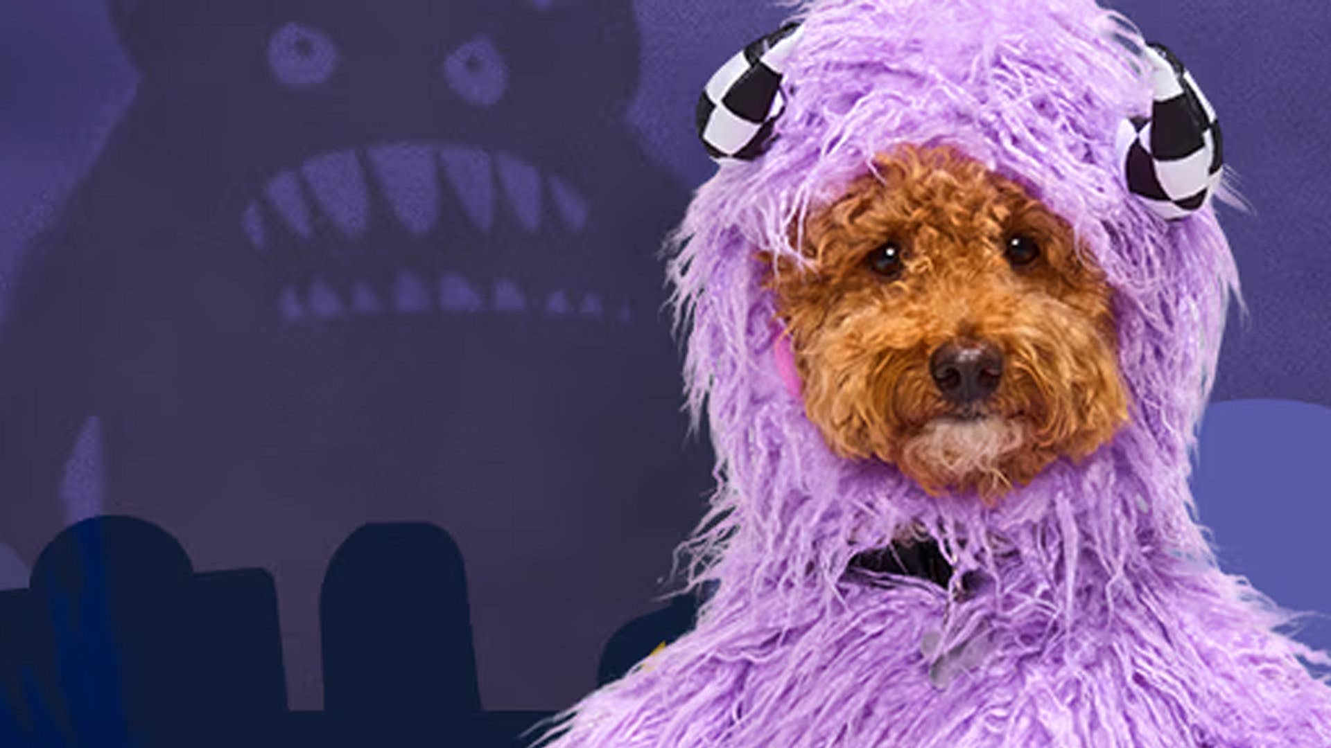 5 Adorable Petco Halloween Costumes Starting at Just $12 - PetHelpful