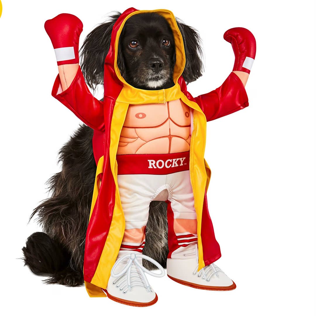 5 Adorable Petco Halloween Costumes Starting at Just $12 - PetHelpful