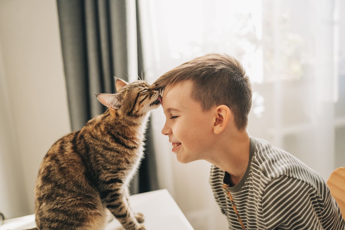 100+ Boy Cat Names for Your Furry Best Friend - PetHelpful