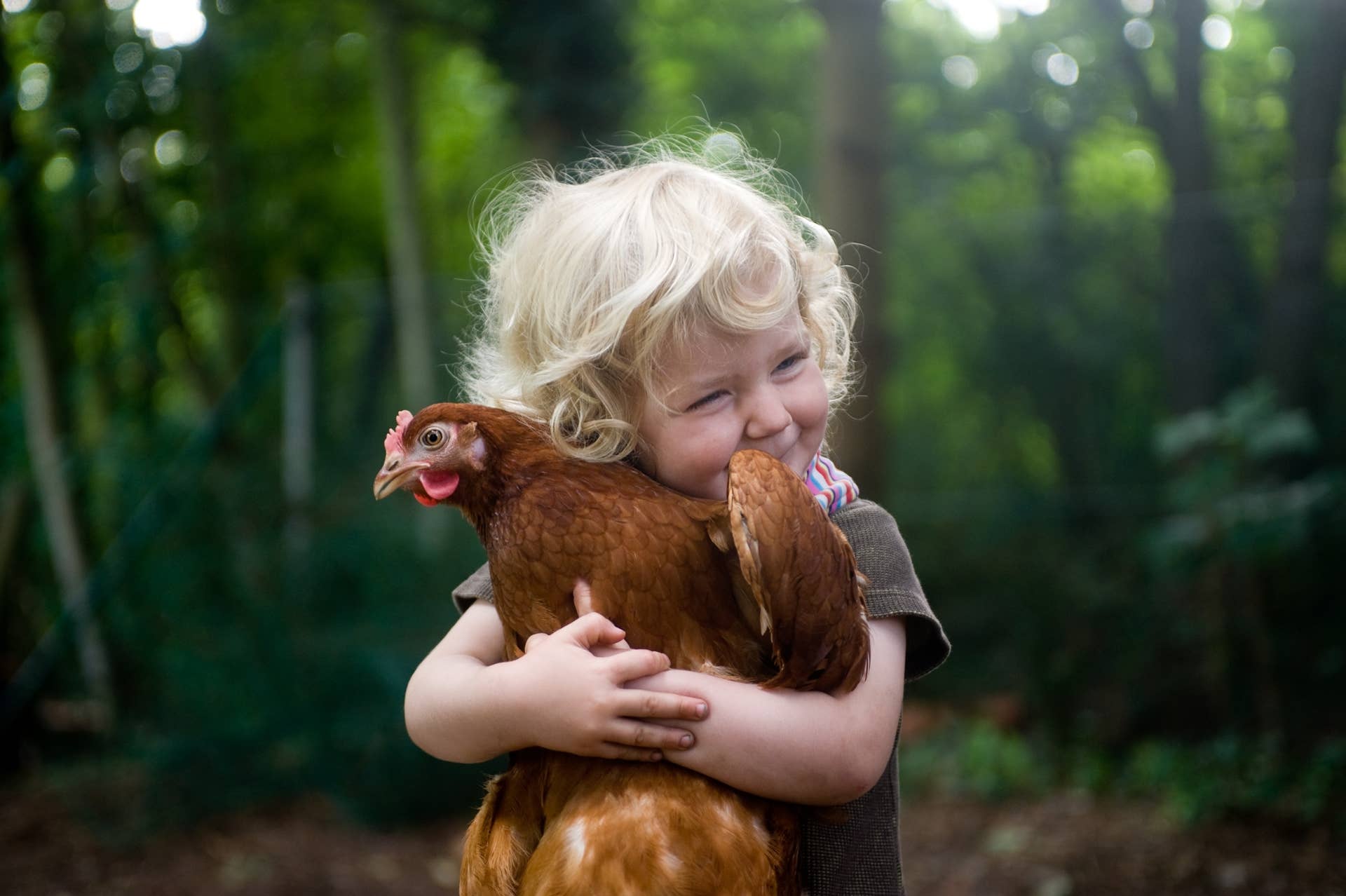 Friendship Between Little Boy and His Chicken Is Too Adorable - PetHelpful