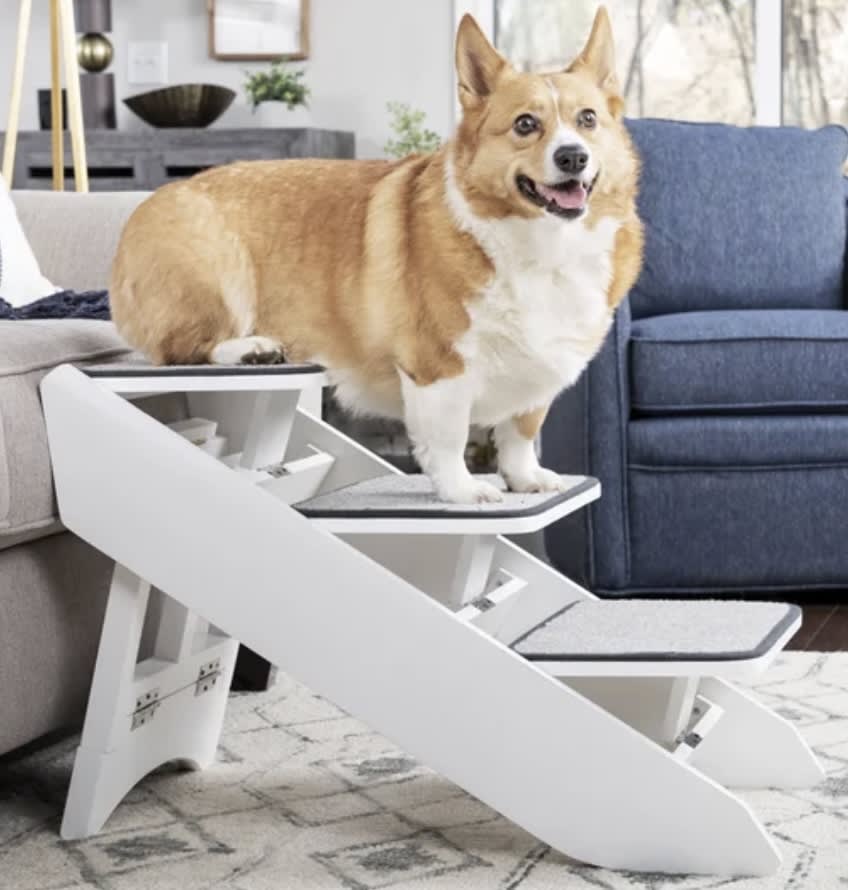 Costco’s 2-in-1 Pet Ramp and Stairs Shoppers Love - PetHelpful