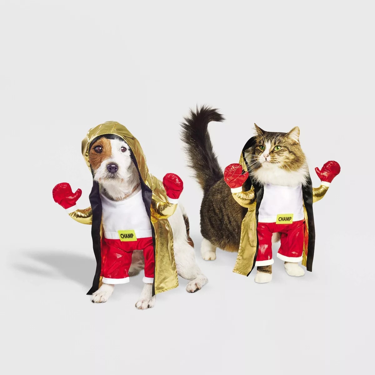 Target's New Pet Halloween Costume Is Too Adorable - PetHelpful